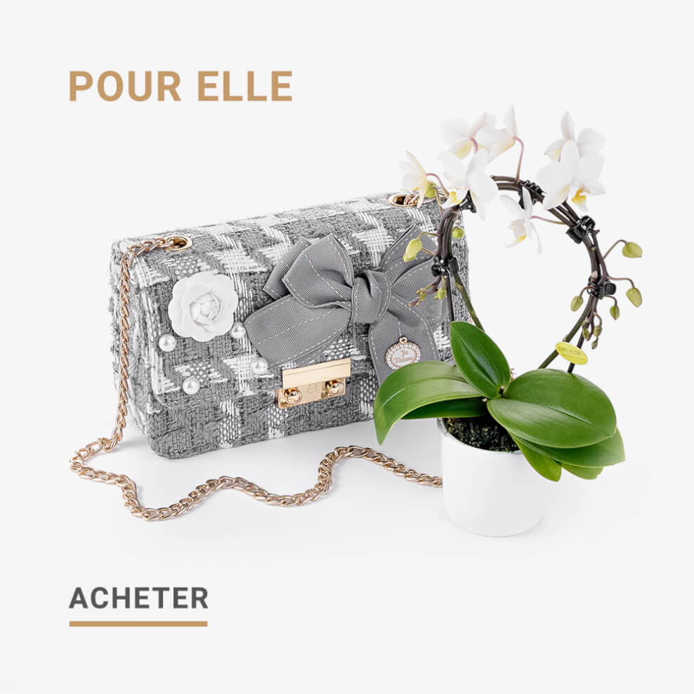 Livraison de Fleurs, Cadeaux, Paniers Gourmands à Domicile - Gift.be