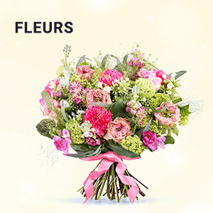 Livraison de Fleurs, Cadeaux, Paniers Gourmands à Domicile - Gift.be